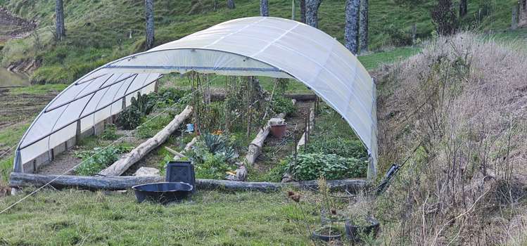 429 Manoeka Road | Te Puke | Western Bay Of Plenty | Rural Property For ...