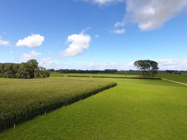 673 Matuku Road, Tauhei | Morrinsville | Matamata-Piako | Rural ...