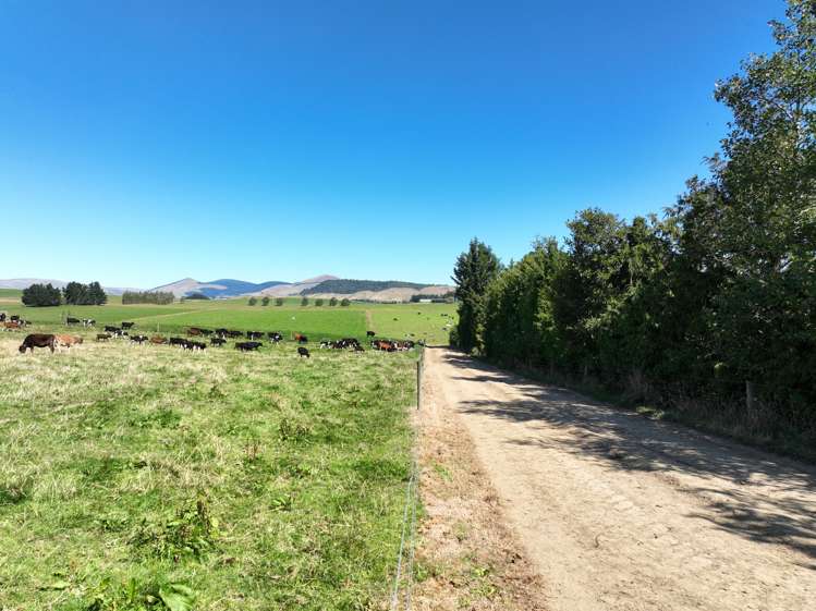 630 Clydevale Road | Ashley Downs | Clutha | Rural Property For Sale ...