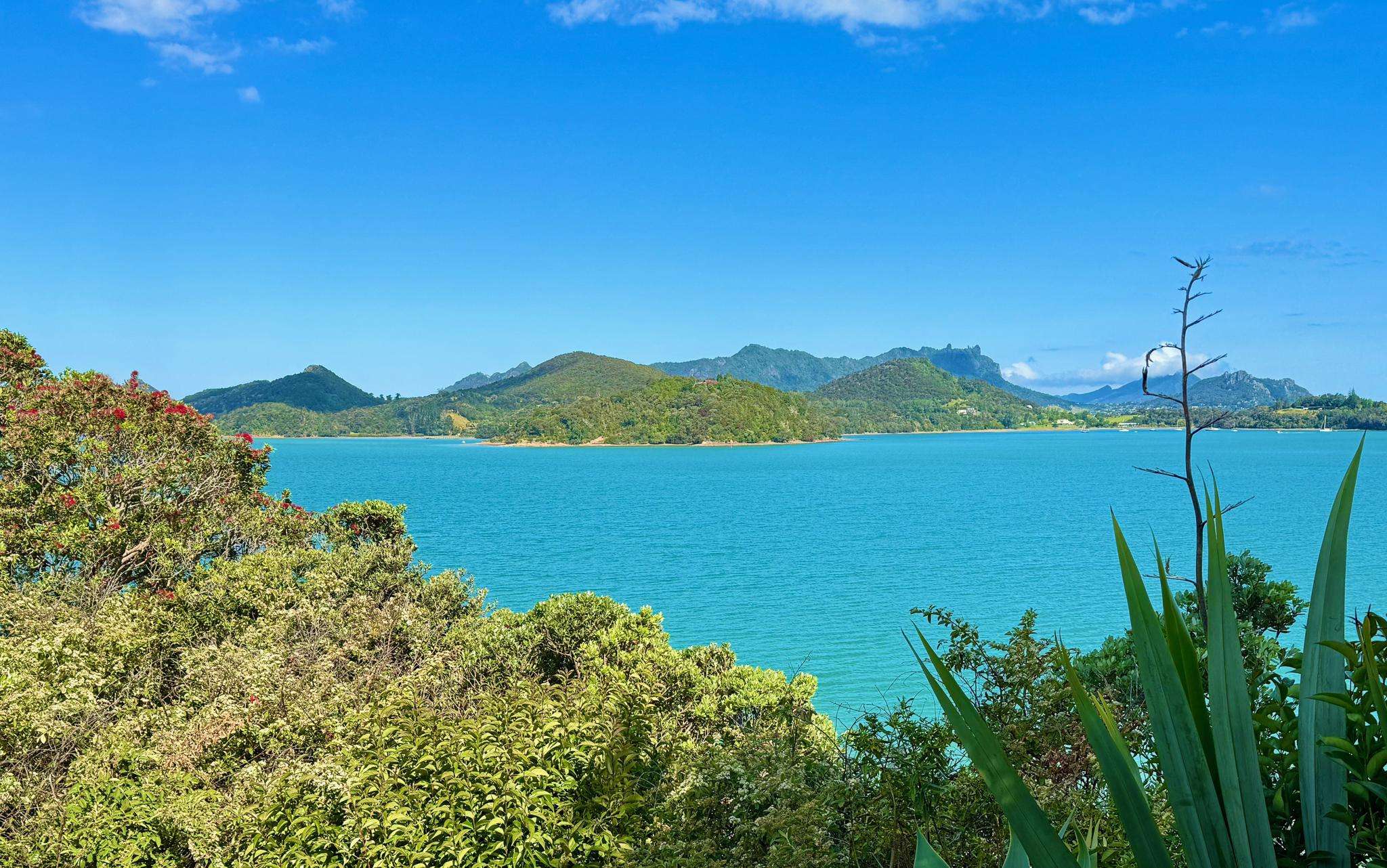 Find Real Estate for Sale on OneRoof NZ