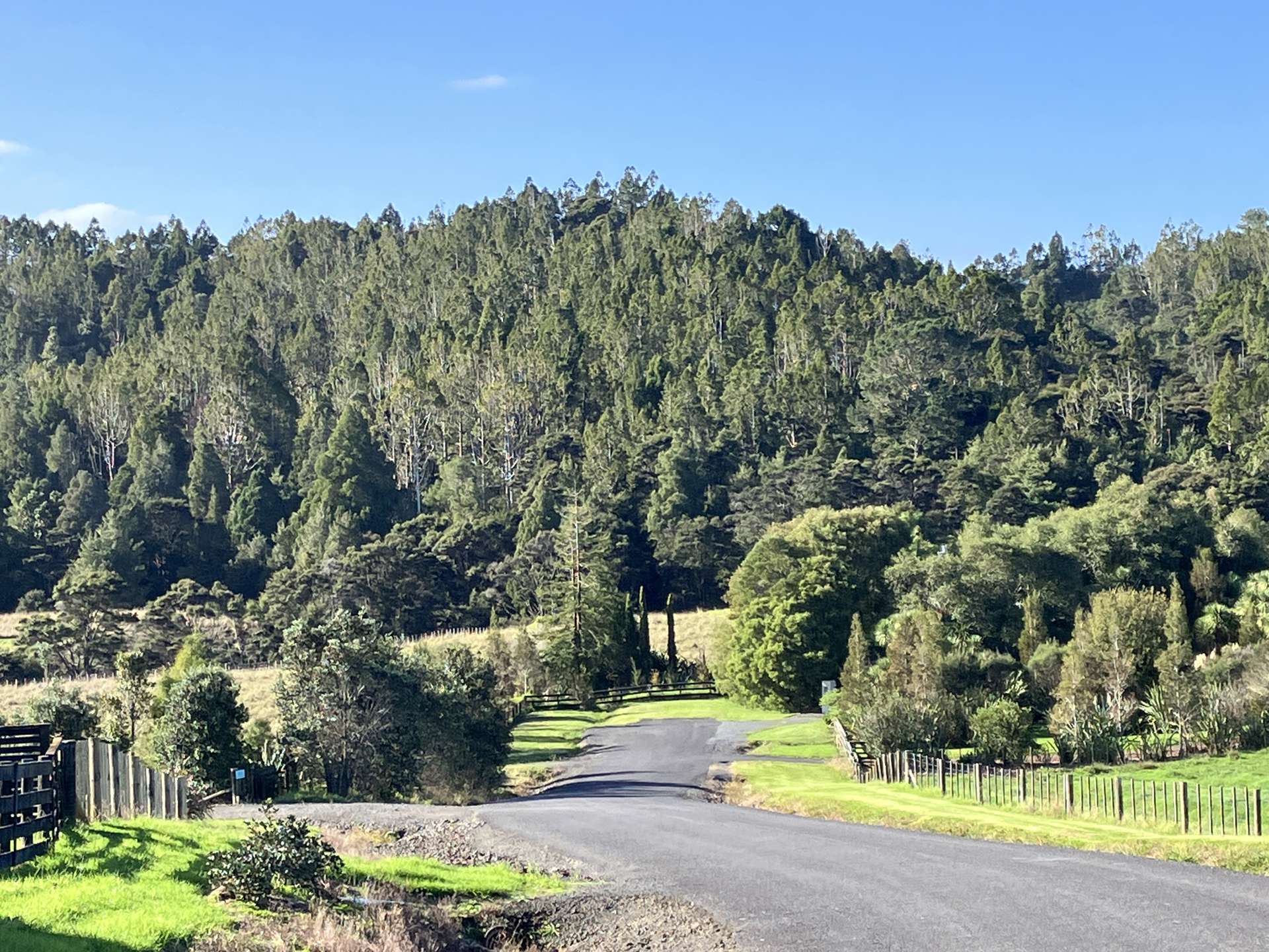 Address withheld | Waitoki | Rodney | Houses for Rent - OneRoof