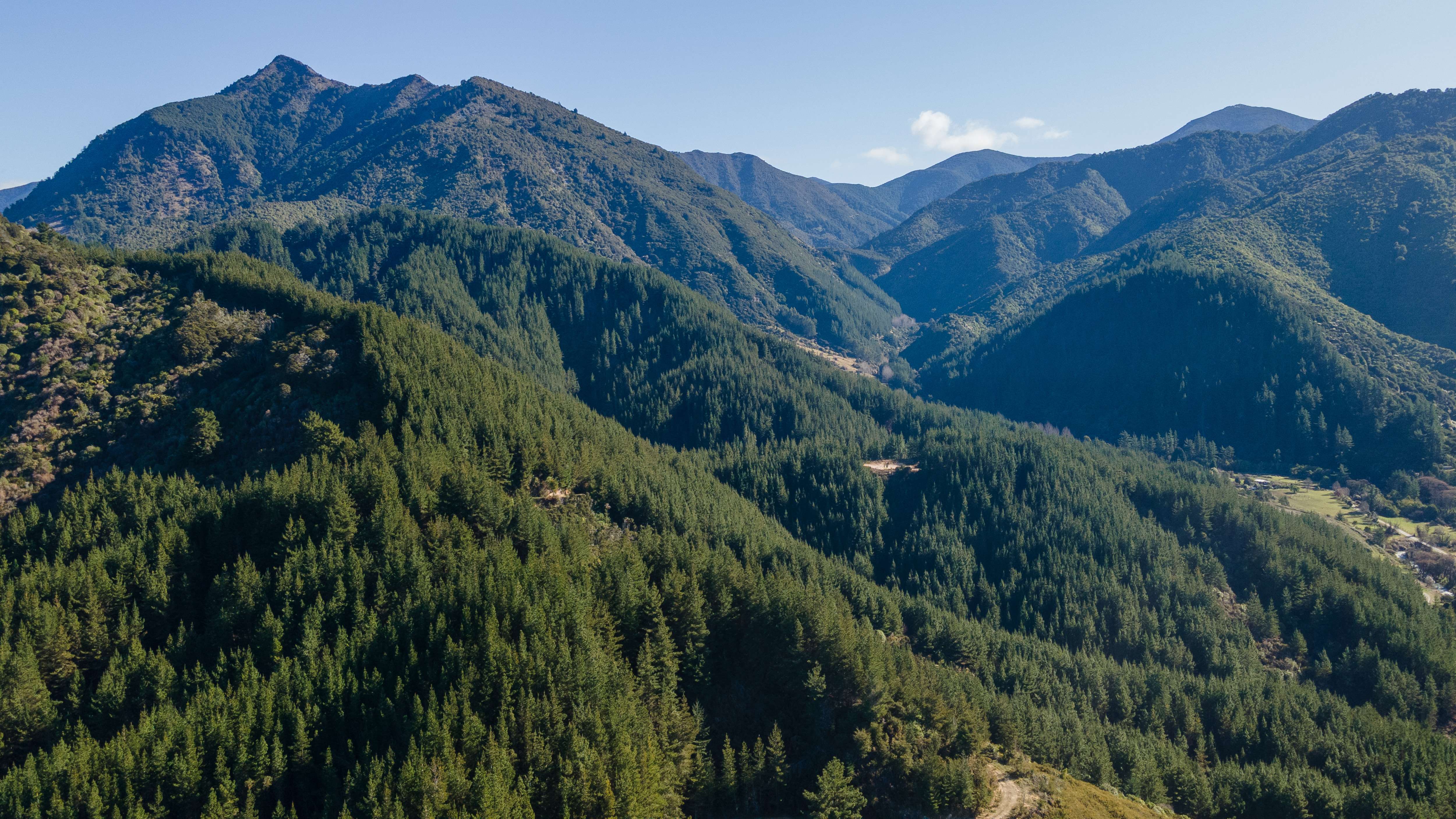 Sold 295 Graham Valley Road (Forestry Right Only) | Motueka Valley ...