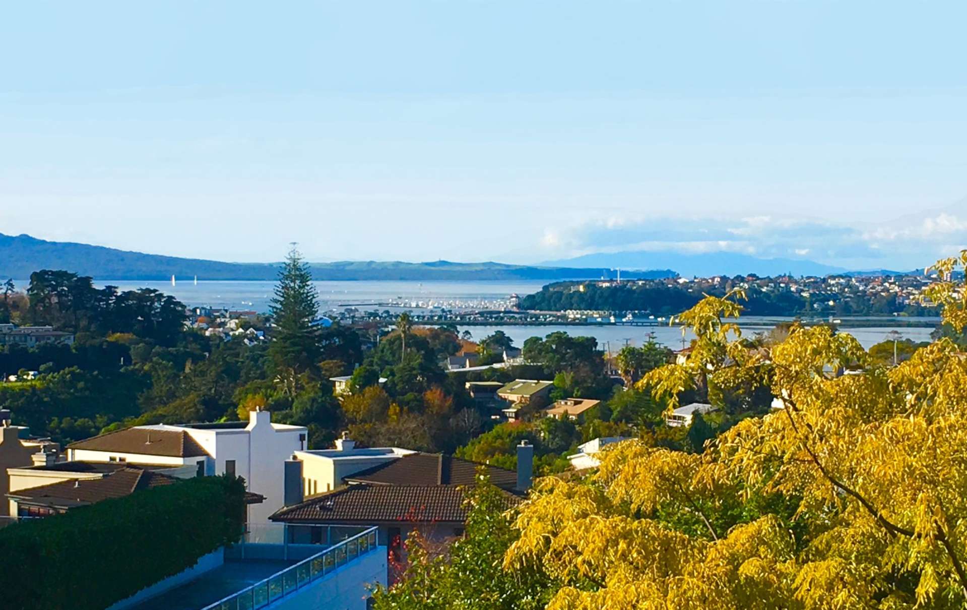 3a/18 Joseph Banks Terrace | Remuera | Auckland City | Houses for Sale ...