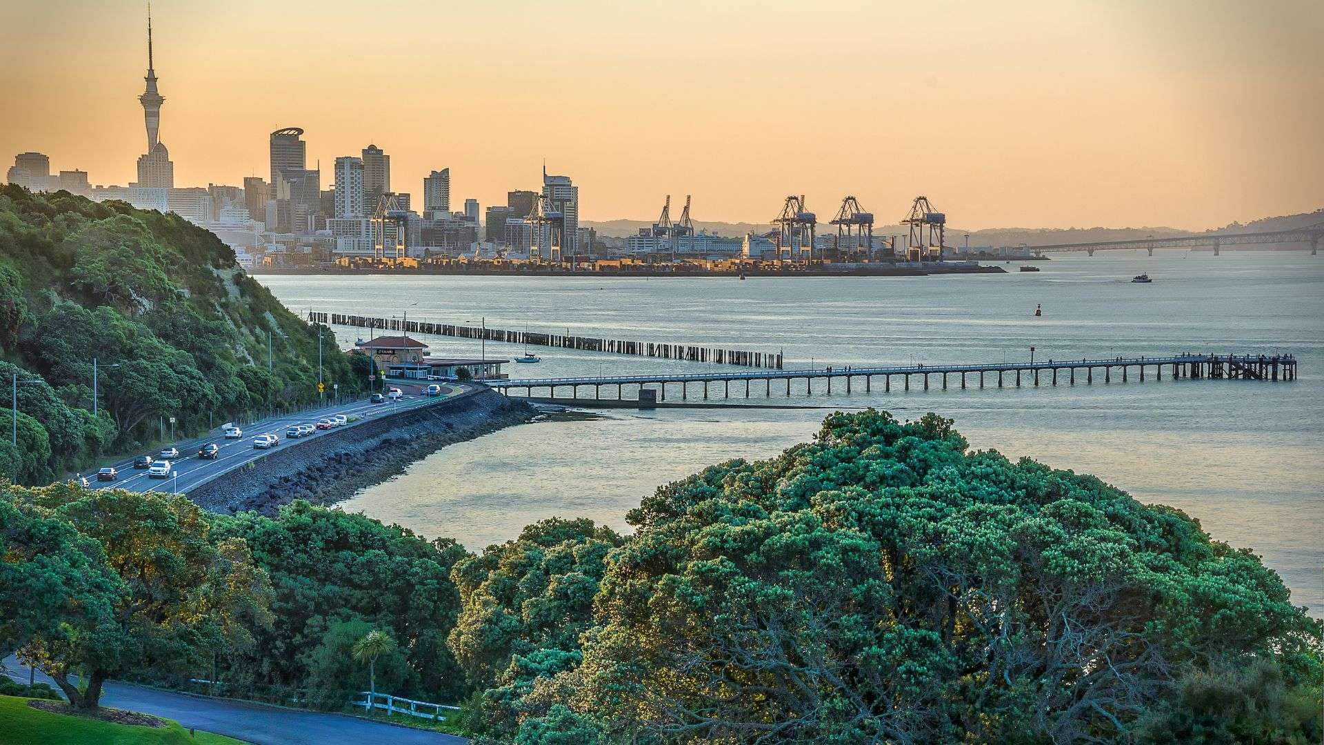 Appleby joins Colliers Investment Sales team, All things property, under OneRoof