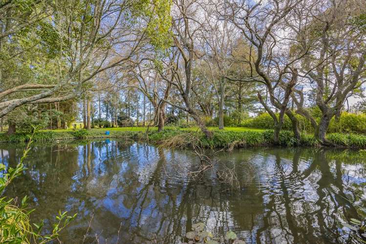 35C Wallace Drive | Clarks Beach | Franklin | Houses for Sale - OneRoof